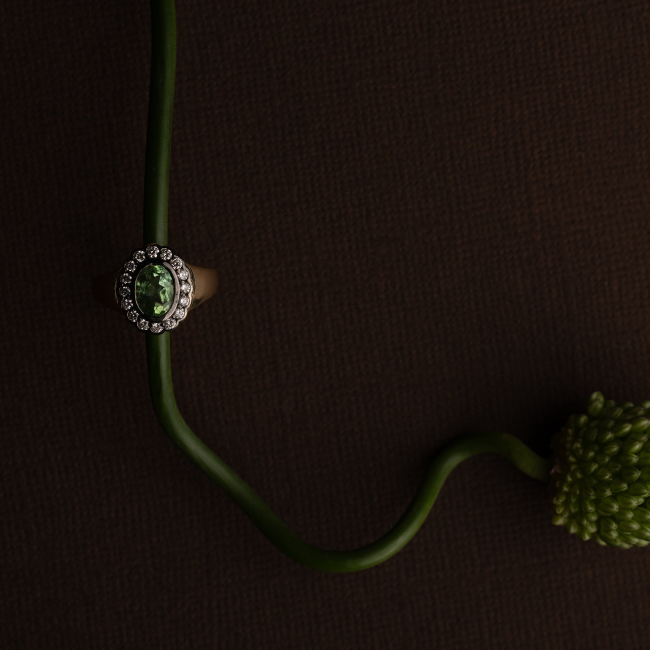 Our Story – Real Fine Studio